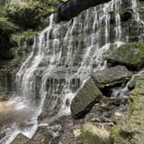 Rutledge Falls Trail, Tennessee - 507 Reviews, Map | AllTrails