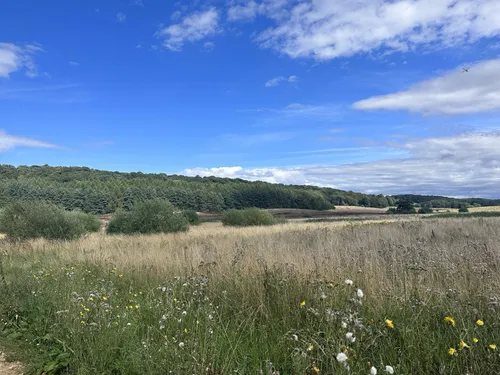 10 Best Walking Trails in Howardian Hills National Landscape (AONB ...