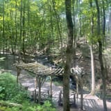 Waterfall Overlook via Riverside and Upland Trail Loop, New York - 862 ...