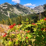 Wanless Lake, Montana - 66 Reviews, Map | AllTrails