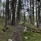 Spring Creek and Flume Trail Loop, South Dakota - 735 Reviews, Map ...