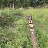 Spring Creek and Flume Trail Loop, South Dakota - 735 Reviews, Map ...