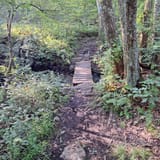 Case Mountain Trail, Connecticut - 1,013 Reviews, Map | AllTrails