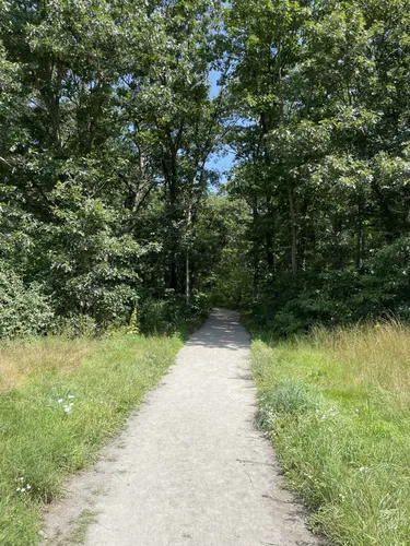 2023 Best 10 Trails and Hikes in Rhode Island | AllTrails