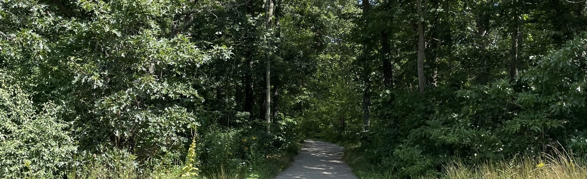 Cumberland Monastery Trail: 1,773 Reviews, Map - Rhode Island | AllTrails