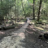 Savage Falls, Tennessee - 660 Reviews, Map | AllTrails