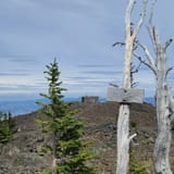 Casey Meadows Trail, Montana - 165 Reviews, Map | AllTrails