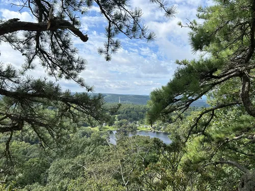 10 Best Hikes and Trails in Meshomasic State Forest | AllTrails