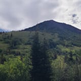 Casey Meadows Trail, Montana - 165 Reviews, Map | AllTrails