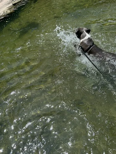 Best Hikes and Trails in Marott Park and Nature Preserve | AllTrails