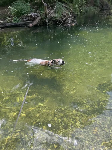 Best Hikes and Trails in Marott Park and Nature Preserve | AllTrails