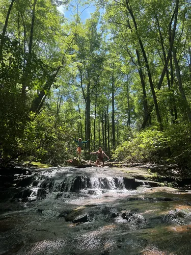 10 Best Trails and Hikes in Candler | AllTrails