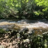 Bee Brook Loop, Connecticut - 1,001 Reviews, Map | AllTrails