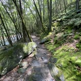 Bee Brook Loop, Connecticut - 1,001 Reviews, Map | AllTrails