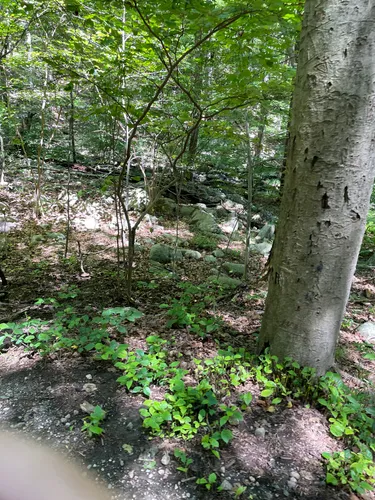 2023 Best Partially Paved Trails in Mahwah | AllTrails