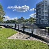 Mill Run Trail, Ontario, Canada - 424 Reviews, Map | AllTrails