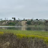 Back Bay Loop, California - 1,776 Reviews, Map | AllTrails