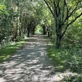 Mill Run Trail, Ontario, Canada - 424 Reviews, Map | AllTrails