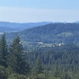 Fitton Green Natural Area Trail, Oregon - 381 Reviews, Map | AllTrails