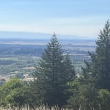 Fitton Green Natural Area Trail, Oregon - 381 Reviews, Map | AllTrails