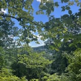 Core Arboretum Loop, West Virginia - 275 Reviews, Map | AllTrails