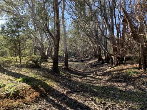 Best Hikes and Trails in Gorman Park | AllTrails