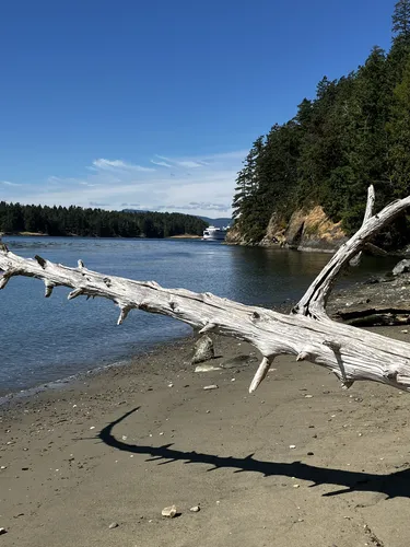 Best Hikes and Trails in Matthews Point Regional Park | AllTrails