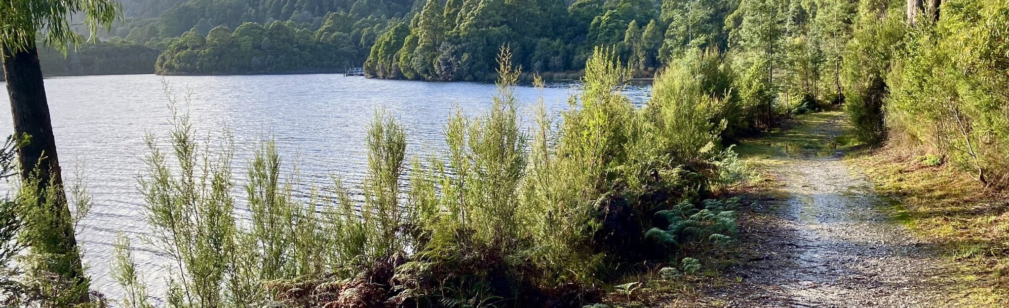 Tullah Lakeside Walk, Tasmania, Australia - 14 Reviews, Map | AllTrails