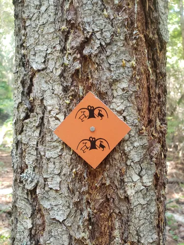 Best Hikes and Trails in Stein Valley Nlaka’pamux Heritage Park | AllTrails