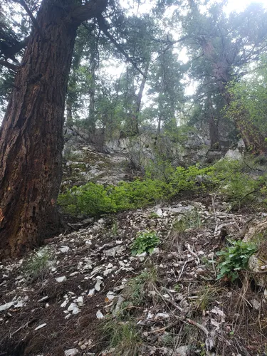 Best Hikes and Trails in Stein Valley Nlaka’pamux Heritage Park | AllTrails