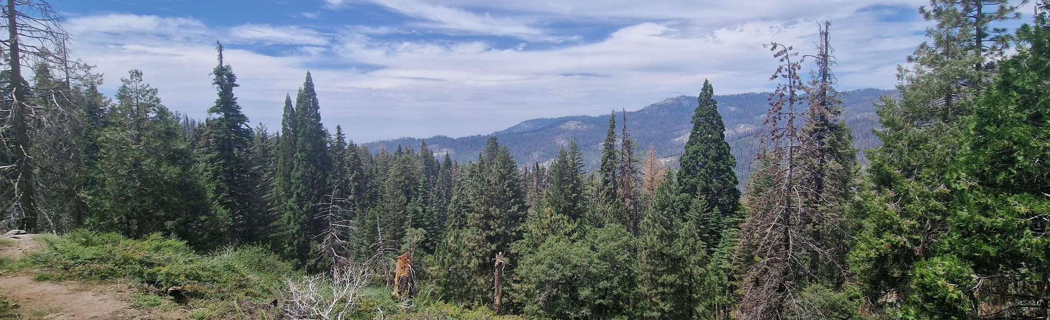 Rimrock, Alta, Congress, Trail of the Sequoias, and Tharp's Log Loop ...