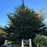 Presidio Loop Trail, California - 1,418 Reviews, Map | AllTrails