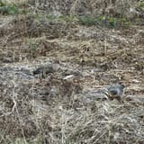 Presidio Loop Trail, California - 1,418 Reviews, Map | AllTrails