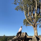 Presidio Loop Trail, California - 1,418 Reviews, Map | AllTrails