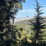 Presidio Loop Trail, California - 1,418 Reviews, Map | AllTrails