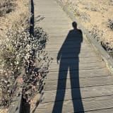 Presidio Loop Trail, California - 1,418 Reviews, Map | AllTrails