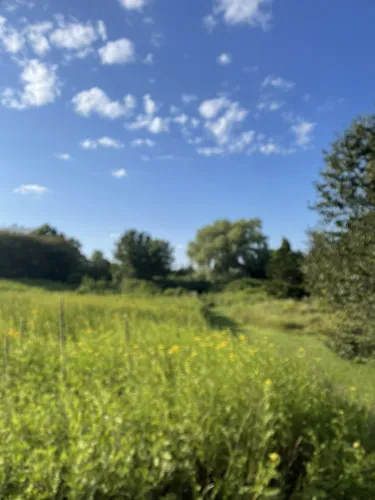 Best Hikes and Trails in Webb Memorial State Park | AllTrails