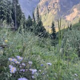 Hope Pass via Sheep Gulch Trail, Colorado - 149 Reviews, Map | AllTrails