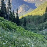Hope Pass via Sheep Gulch Trail, Colorado - 149 Reviews, Map | AllTrails