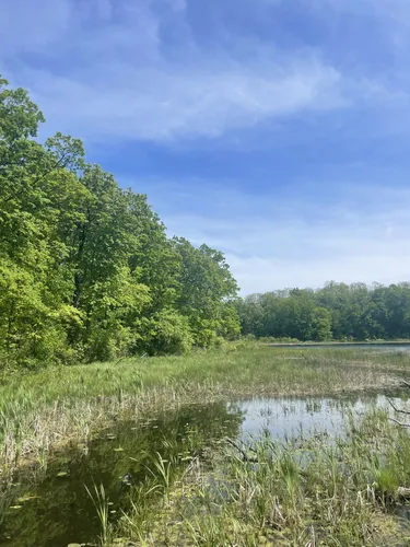 10 Best Trails and Hikes in Michigan | AllTrails