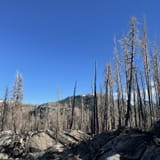 Lake Margaret Trail, California - 995 Reviews, Map | AllTrails