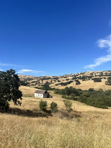 2023 Best Partially Paved Trails in Mount Hamilton | AllTrails