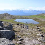 Kesugi Ridge (Curry Ridge) Trail, Alaska - 223 Reviews, Map | AllTrails