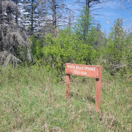 Best Hikes and Trails in Denbigh Experimental Forest | AllTrails