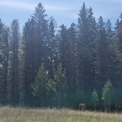 Best Hikes and Trails in Denbigh Experimental Forest | AllTrails