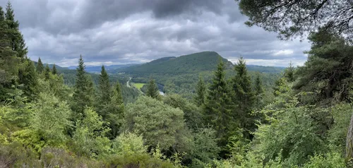 10 Best Trails, Walks, and Paths in Dunkeld | AllTrails