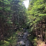 Zealand Bonds Traverse, New Hampshire - 678 Reviews, Map | AllTrails