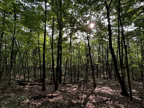 Best Hikes and Trails in God's Acre | AllTrails