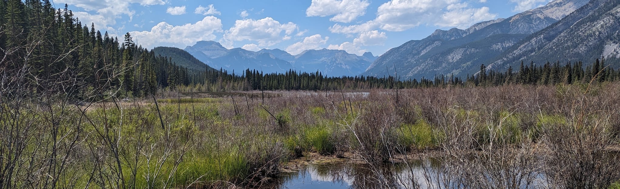 Marsh Loop, Alberta, Canada - 548 Reviews, Map | AllTrails