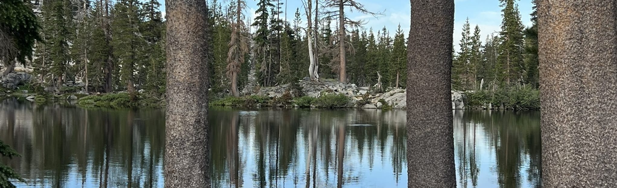 McConnell Lake Loop Trail, California - 61 Reviews, Map | AllTrails
